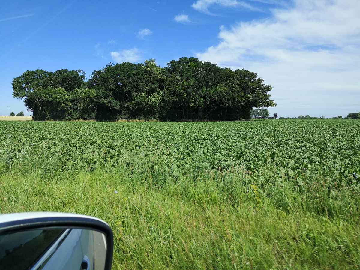 Road Trip across Southern Denmark Islands in 2025