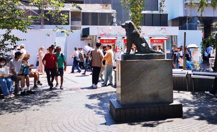 Shibuya Crossing Tokyo - Why is the Scramble so Iconic? (2025)
