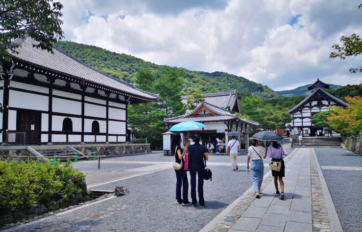 Arashiyama Bamboo Grove, Kyoto Forest, Tenryuji Temple (2025)