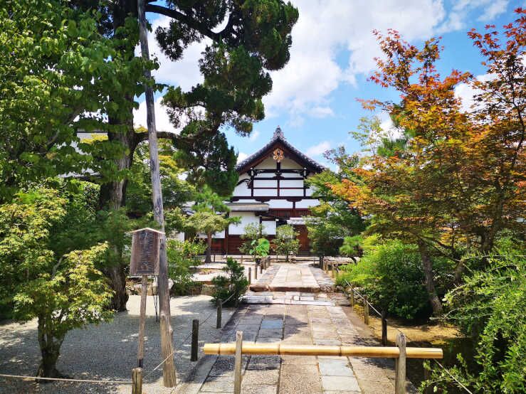 Arashiyama Bamboo Grove, Kyoto Forest, Tenryuji Temple (2025)